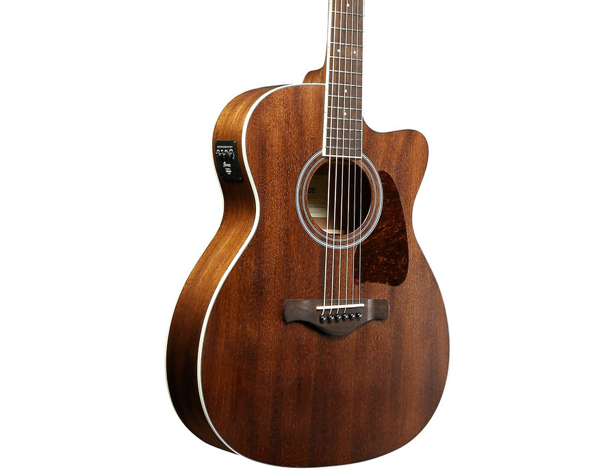 Ibanez Artwood Acoustic - What To Know & Where To Buy | Equipboard