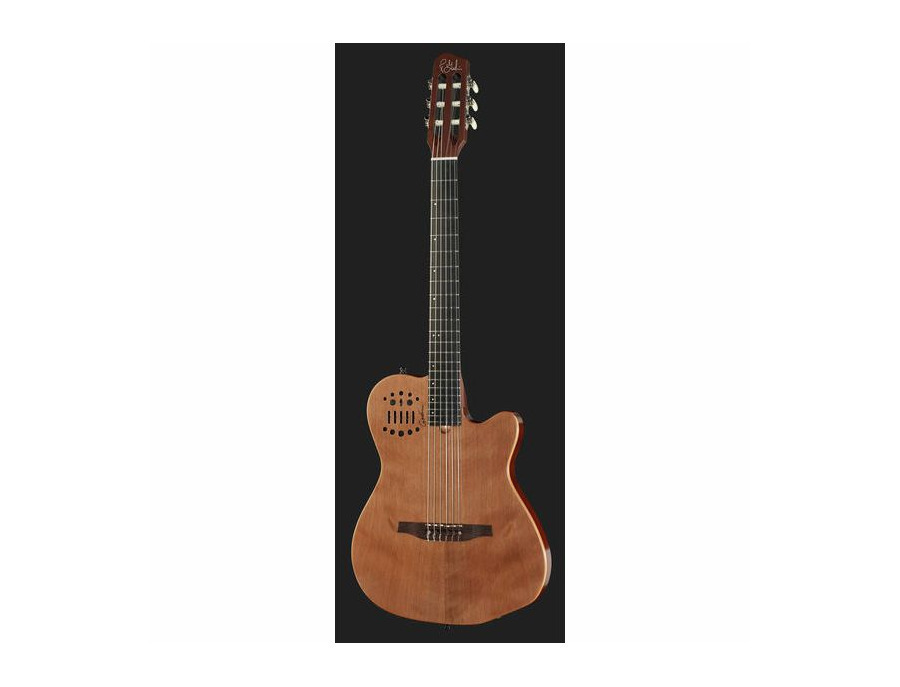 Godin Multiac ACS-SA - What To Know & Where To Buy | Equipboard