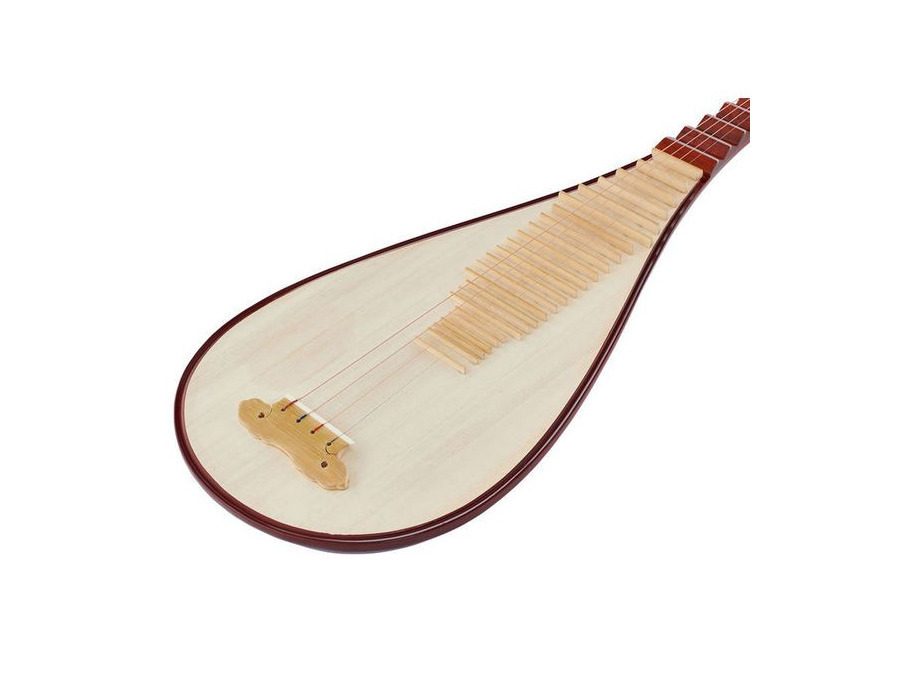 Chinese Pipa - What To Know & Where To Buy | Equipboard