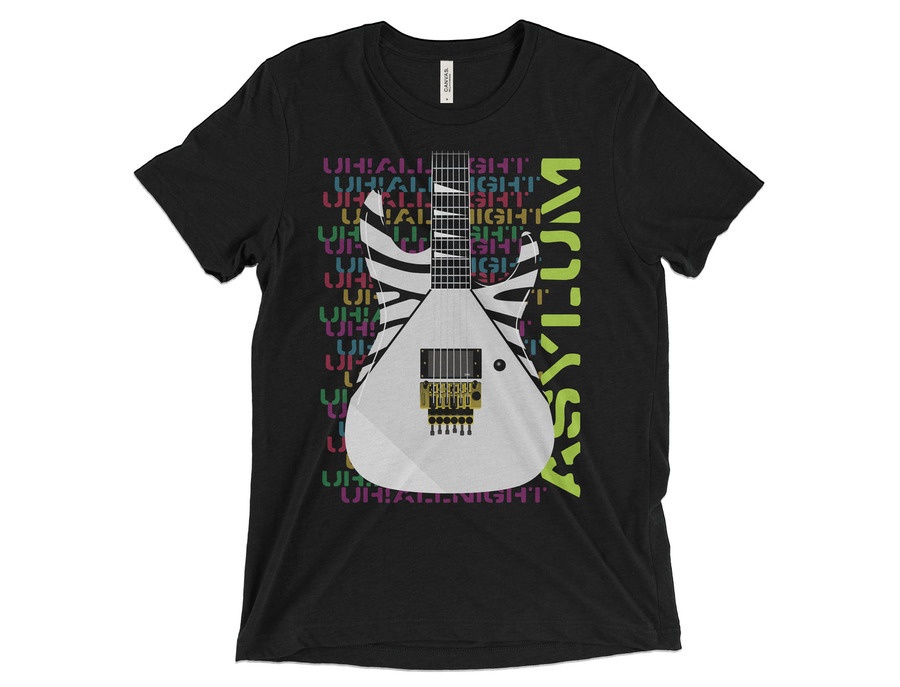 Jackson Soloist Zebra XL Bruce Kulick Signature Electric Guitar - What ...