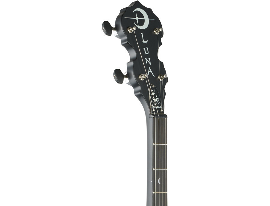 Luna Guitars Moonbird 5-String Acoustic/Electric Banjo (BGB MOON 5E ...