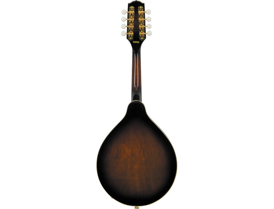 Fender FM-52E Acoustic-Electric Mandolin - What To Know & Where To Buy ...