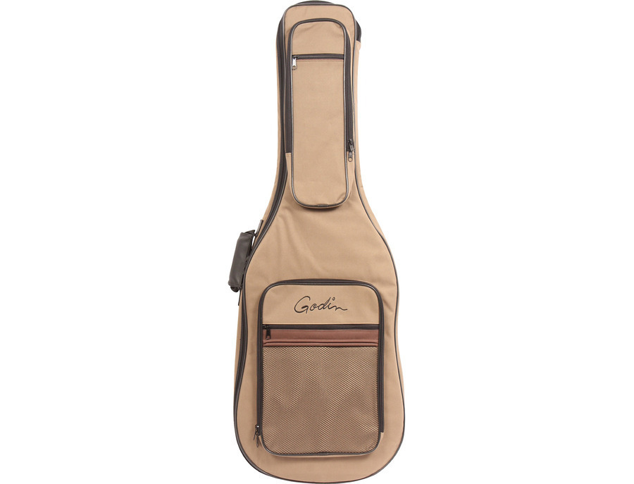Godin Multiac ACS - What To Know & Where To Buy | Equipboard