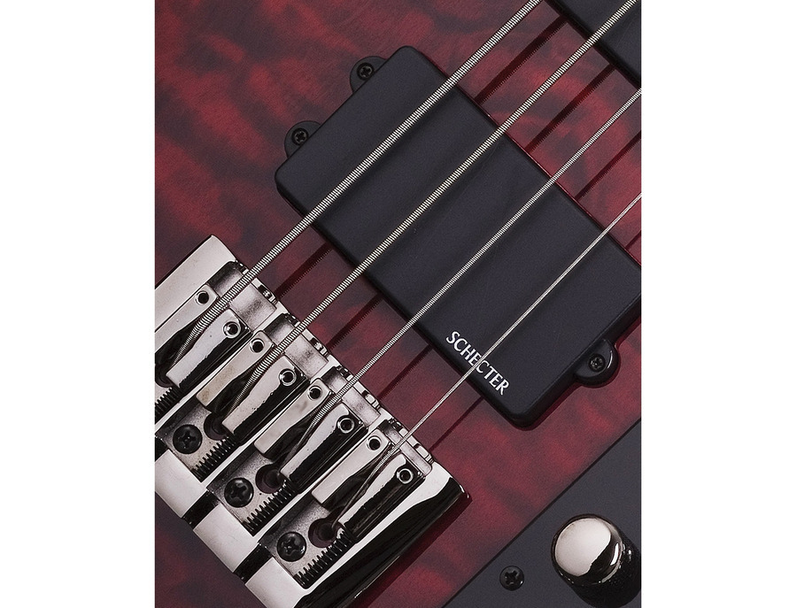 Schecter Raiden Elite 4 - What To Know & Where To Buy | Equipboard