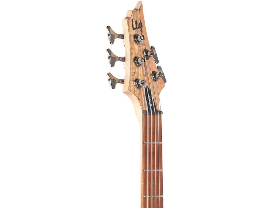 ESP 5 String Bass - What To Know & Where To Buy | Equipboard