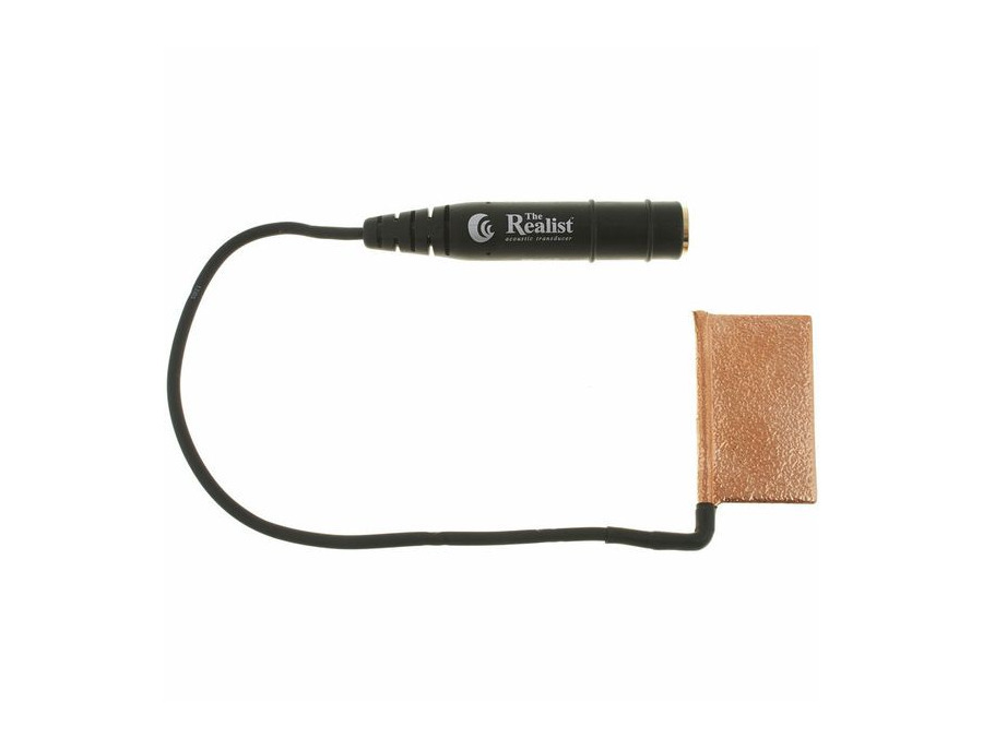 David Gage / Realist Acoustic The Realist (Bass Pickup) - What To Know ...