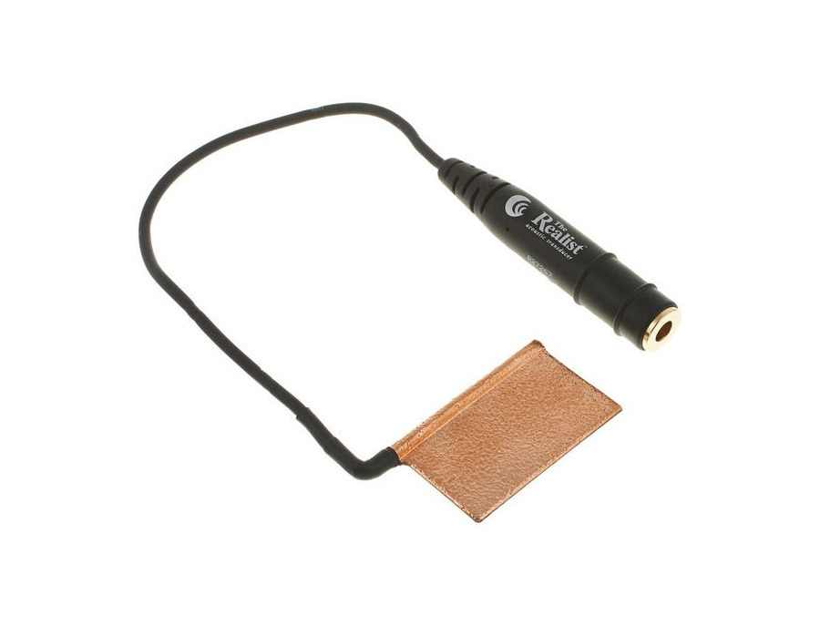 David Gage / Realist Acoustic The Realist (Bass Pickup) - What To Know ...