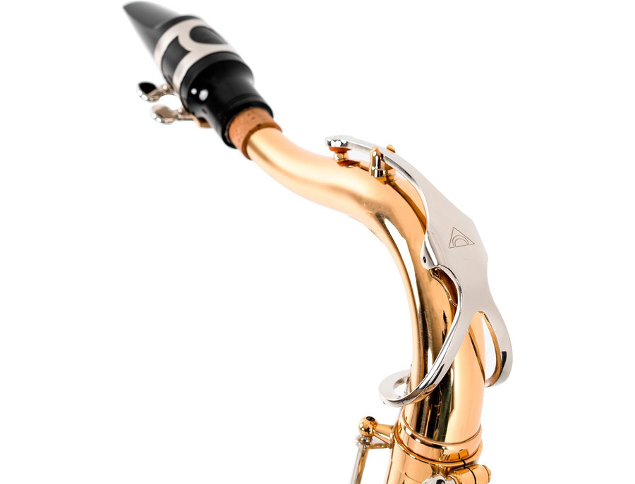 Antigua TS2155LN Vosi Bb Tenor Saxophone - What To Know & Where To Buy ...