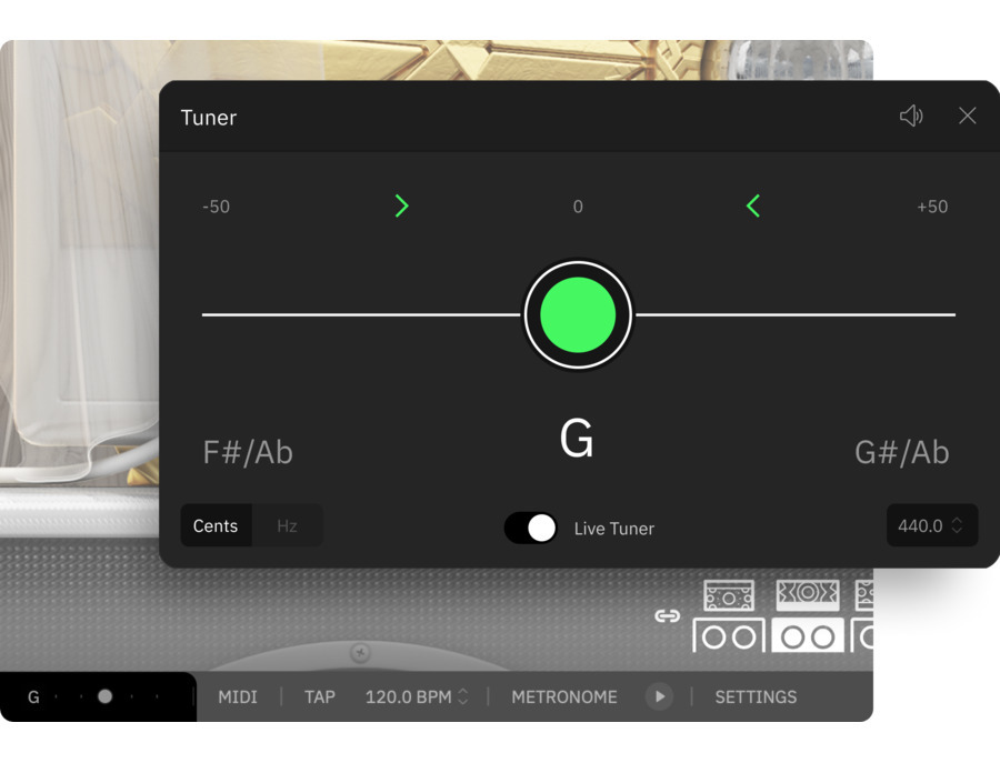 Neural DSP Archetype: Rabea X - What To Know & Where To Buy | Equipboard