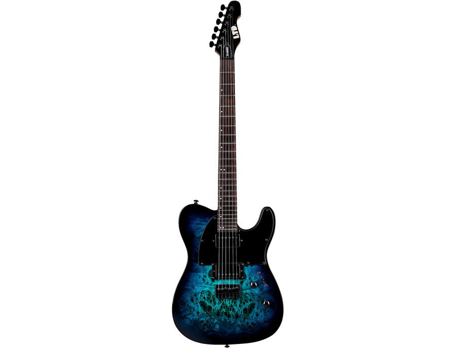 ESP LTD TE-200DX - What To Know & Where To Buy | Equipboard