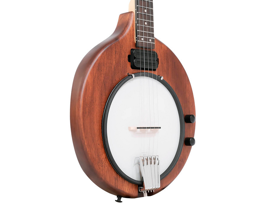 Gold Tone EBT 5-String Electric Banjo - What To Know & Where To Buy ...