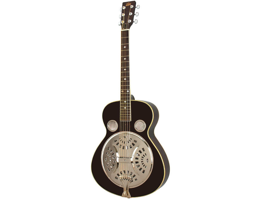 Rogue Classic Spider Resonator - What To Know & Where To Buy | Equipboard
