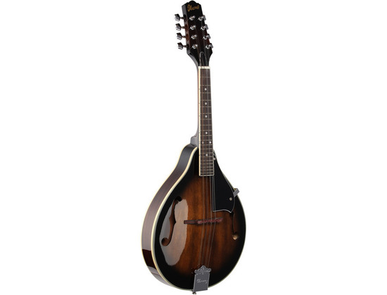 5 Best Mandolins: A Complete Guide 2025 | Equipboard