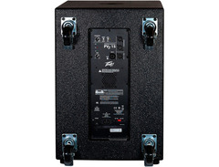 Peavey PVs15 1000-Watt Active PA Subwoofer - What To Know & Where To ...