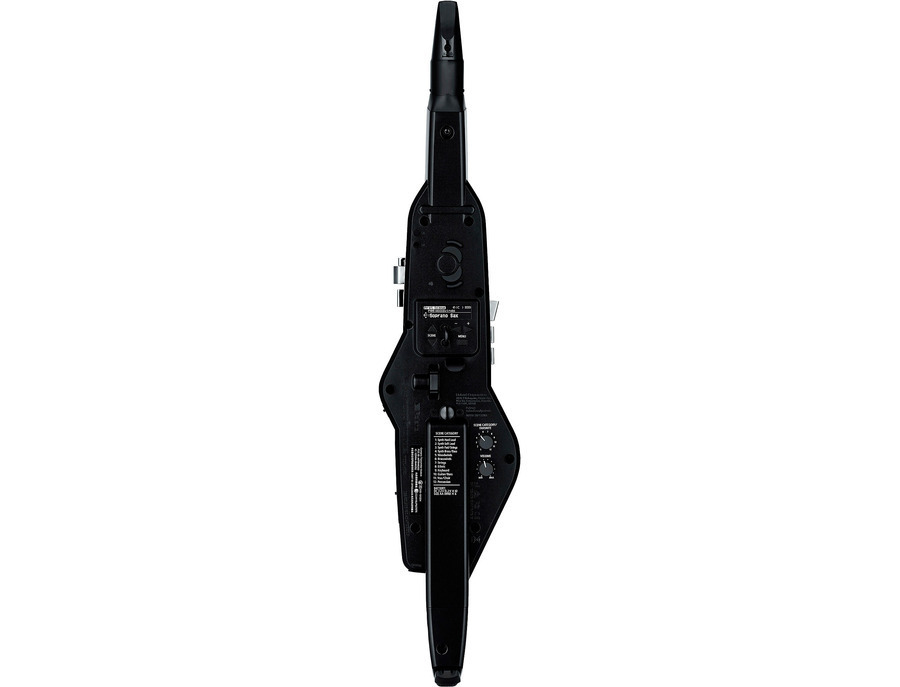 Roland AE-20 Aerophone Digital Wind Instrument - What To Know & Where ...