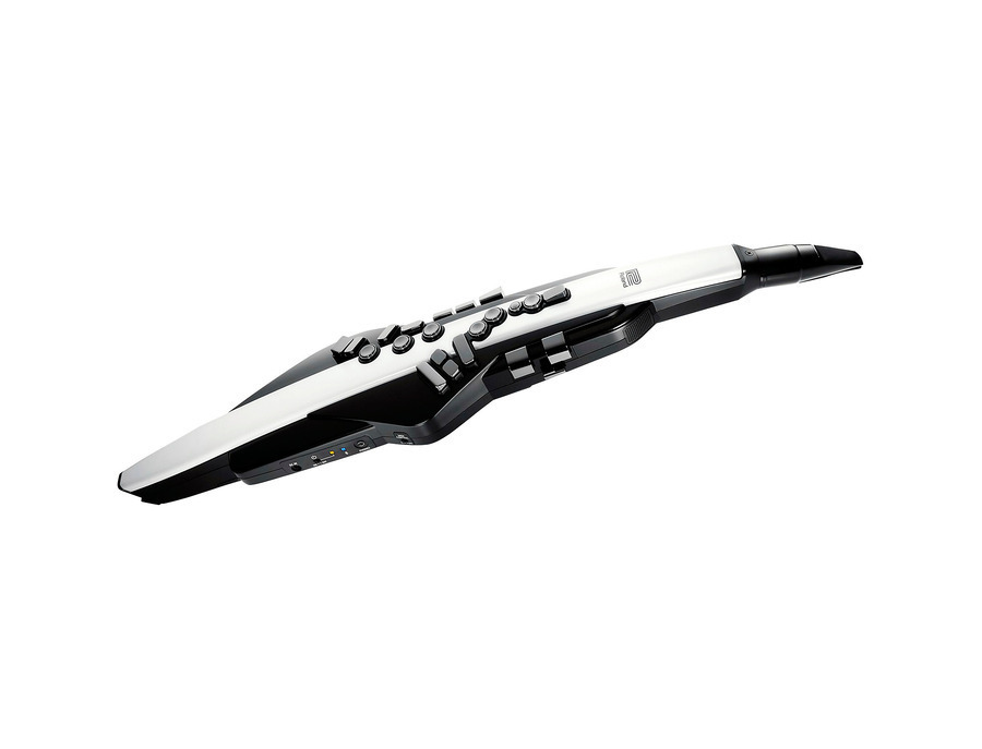 Roland AE-20 Aerophone Digital Wind Instrument - What To Know & Where ...