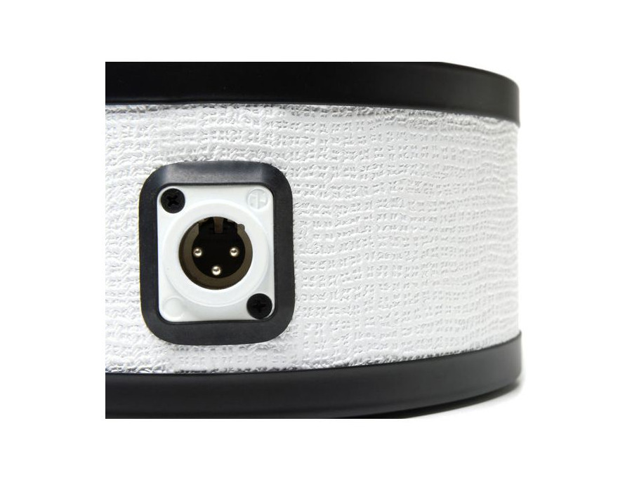 Solomon Mics LFRQTRP LoFReQ Large-Diaphragm Dynamic Sub Mic - What To ...