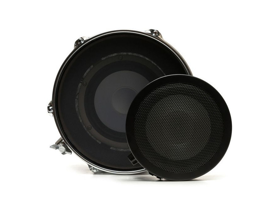Solomon Mics LFRQTRP LoFReQ Large-Diaphragm Dynamic Sub Mic - What To ...