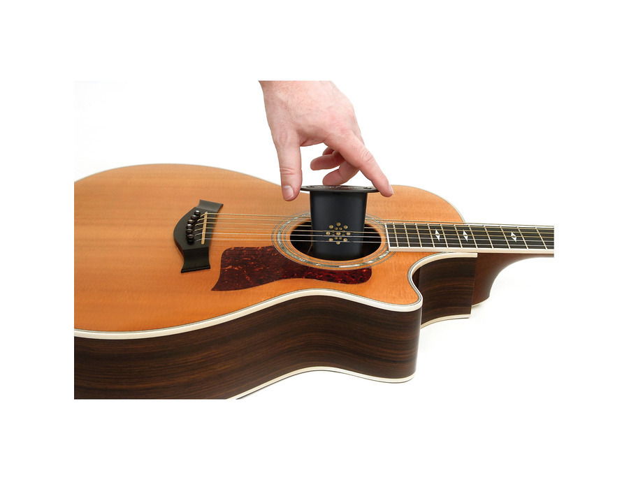 6 Best Guitar Humidifiers: Moisture Management for Your Guitar