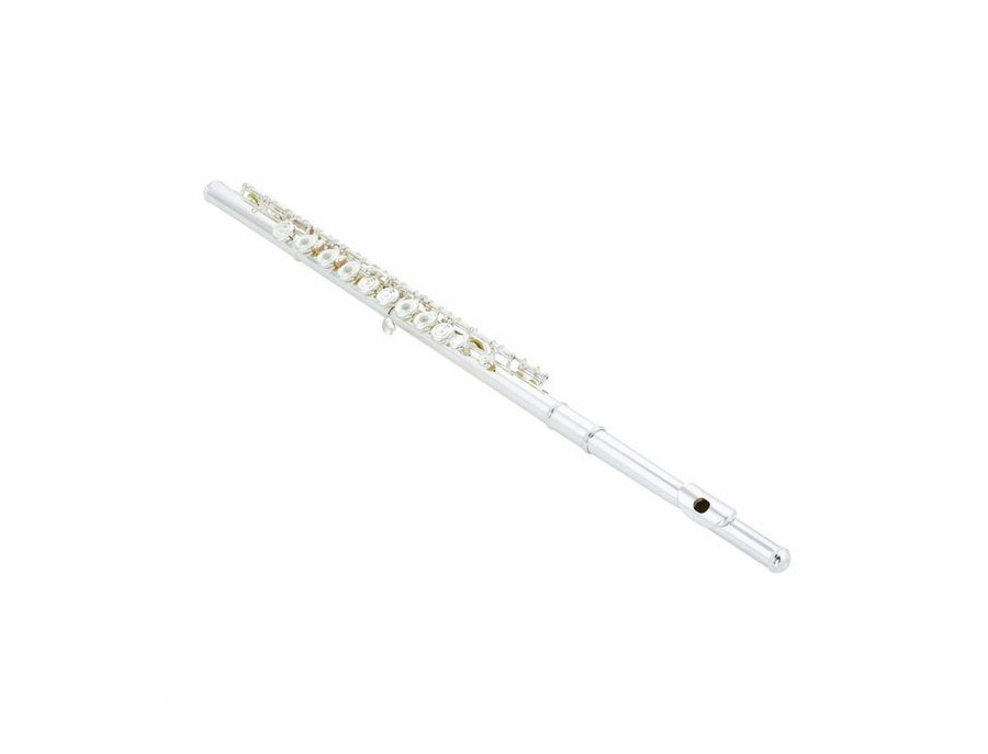 Yamaha YFL-381 Intermediate Flute - What To Know & Where To Buy ...