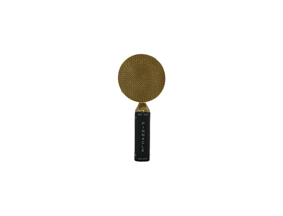 Pinnacle Microphones Fat Top Ribbon Microphone Stereo Pair - What To ...