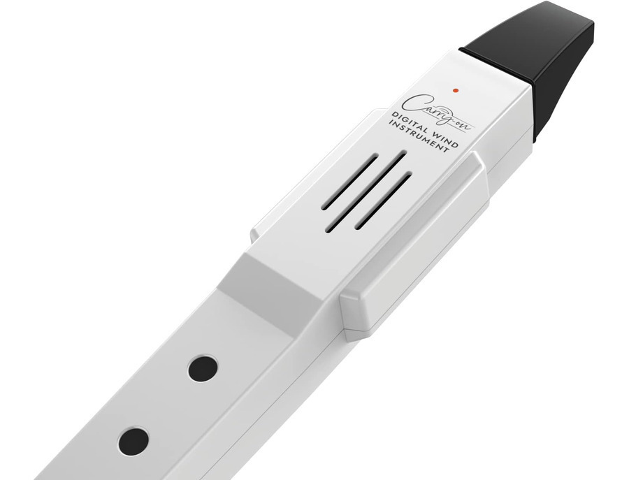 Blackstar Carry-on Digital Wind Instrument - What To Know & Where To ...