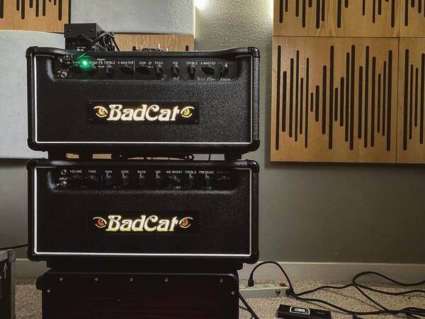 Bad Cat Lynx 50 - What To Know & Where To Buy | Equipboard