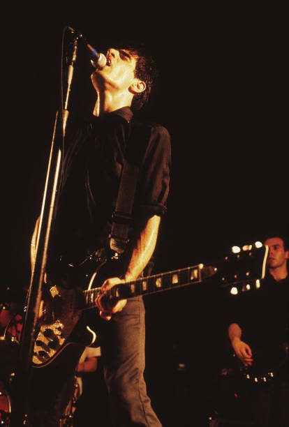 Guy Picciotto | Equipboard